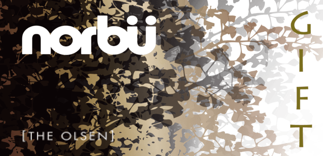 Norbu Urban Retreat | Massage, Endermologie, Detox, Therapy | South ...